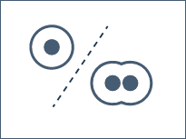 How do I pair my Keypad with my Roller Shutter?